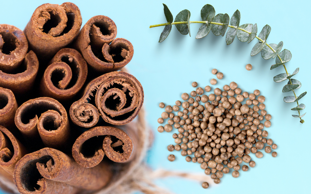 Terpene of the Month: Phellandrene - Bask, Inc.